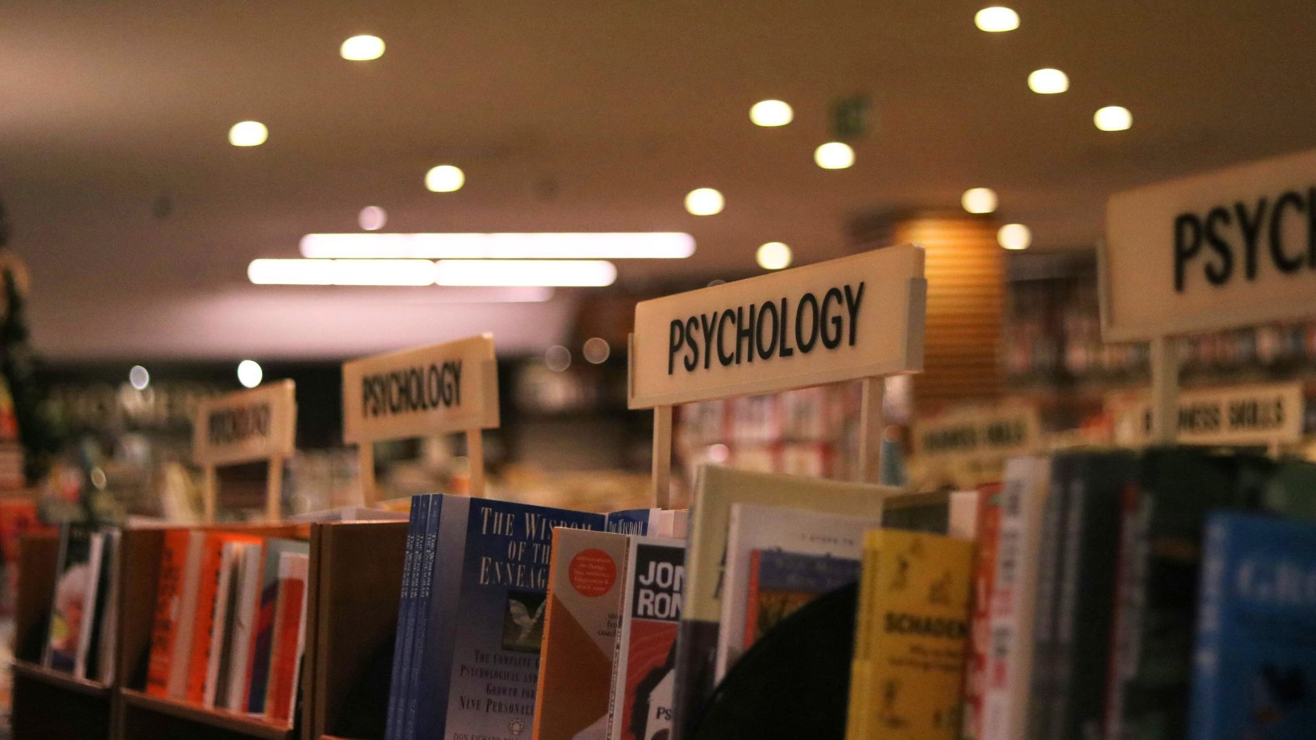Best psychology books for beginners to learn big concepts easily