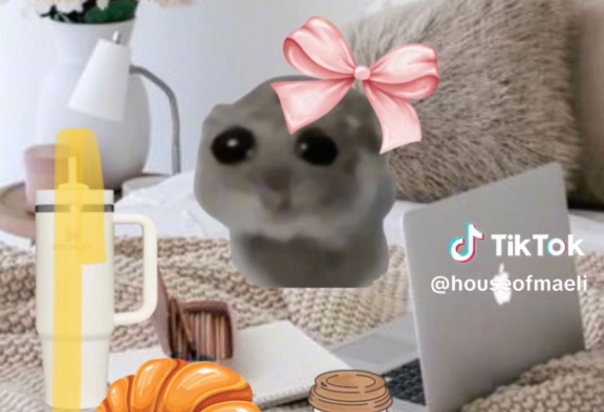 February 2024 TikTok recap: The viral trends you need to know right now