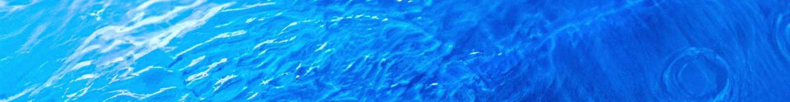 LSA Digital Cover Vol. 019: Bertrand Rhodict Lises