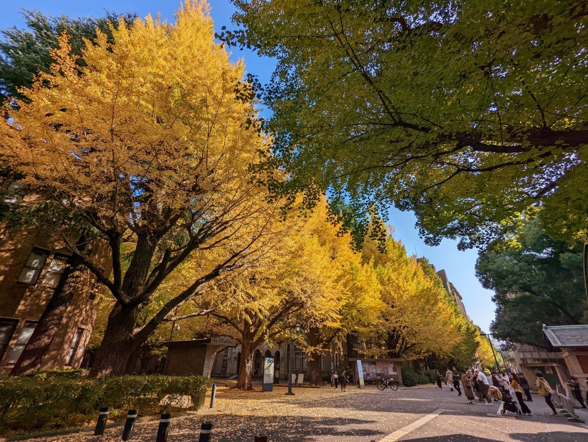 Most beautiful universities in Asia with breathtaking campuses