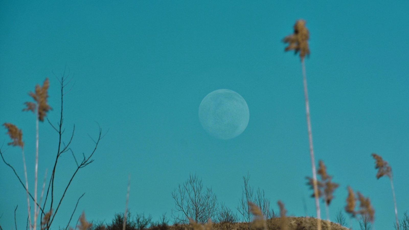 Full Buck Moon: Meaning and effects on zodiacs | Lifestyle Asia Malaysia