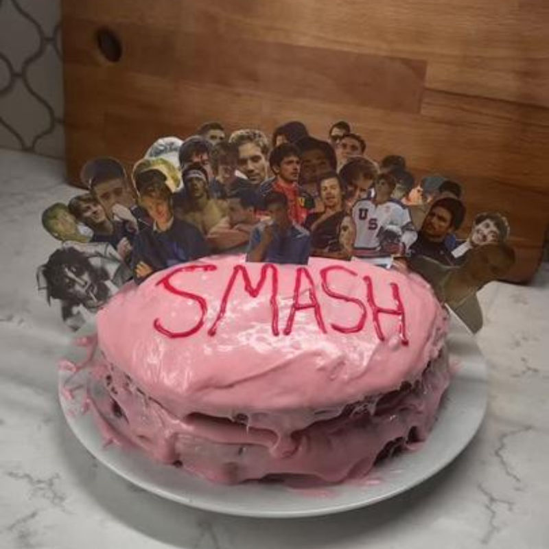 Team LSA reveals which celebrities are on their TikTok smash cakes