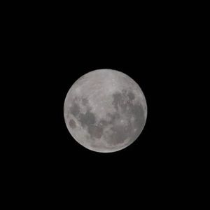 Coldplay in KL: How did Malaysia fare on the recycling leaderboard?