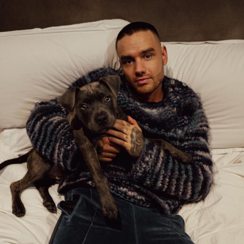 Best Liam Payne solo and One Direction songs to remember him by