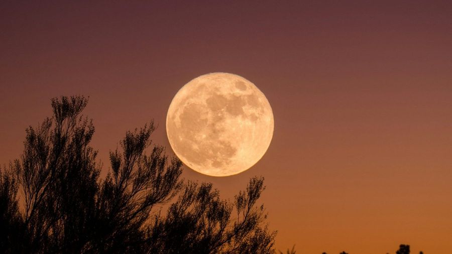 Full moons of 2025 and their effects on zodiacs | Lifestyle Asia Malaysia