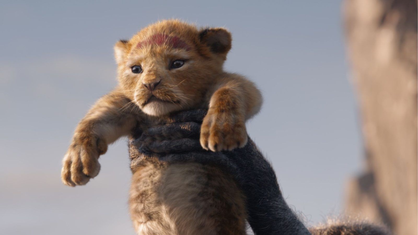 All The Lion King movies in chronological order | Lifestyle Asia Malaysia