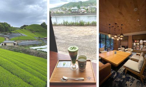 How to visit Moo Deng: Location, transportation, and price | Lifestyle ...