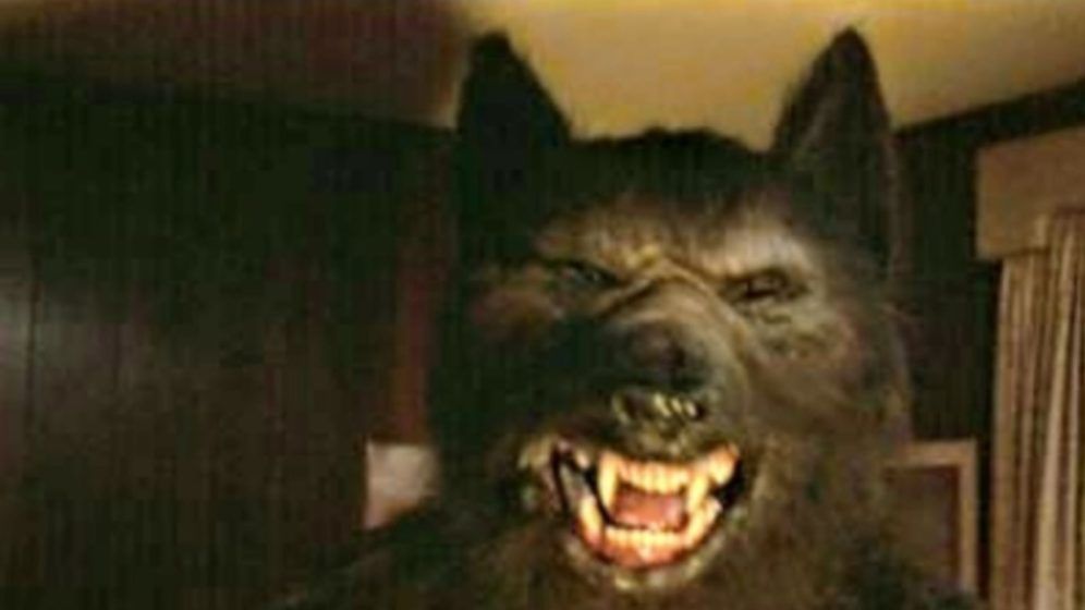 20 highest-rated werewolf movies to add to your watchlist | LSA Malaysia