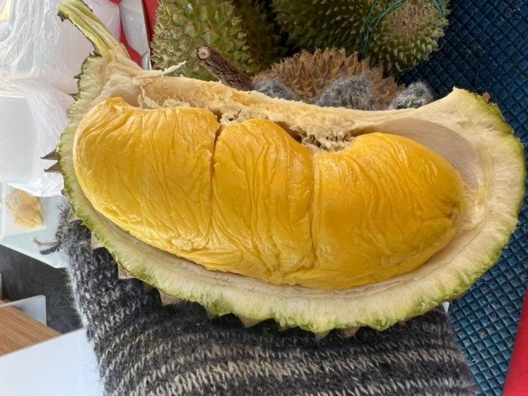 Johor Bahru: Where to get the best durian in JB | LSA KL