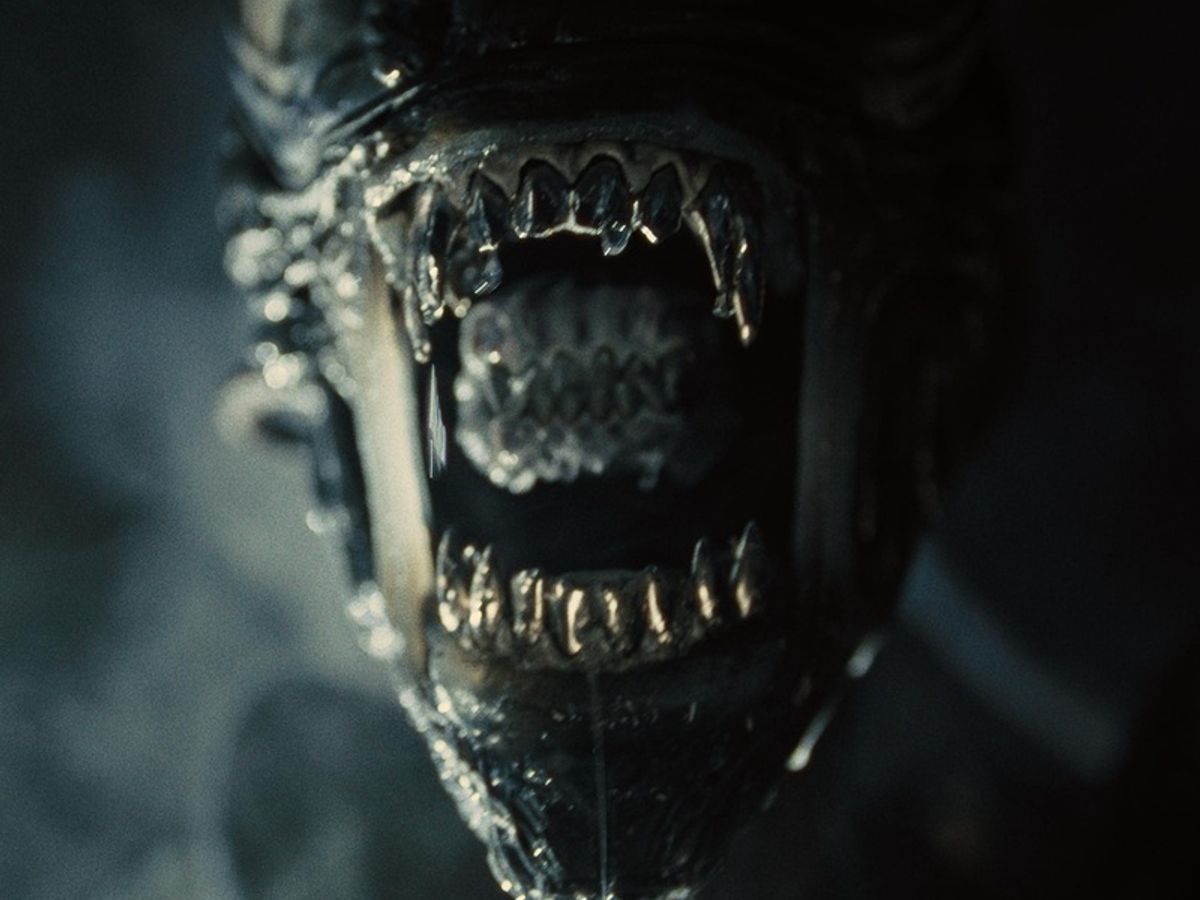 xenomorph types alien