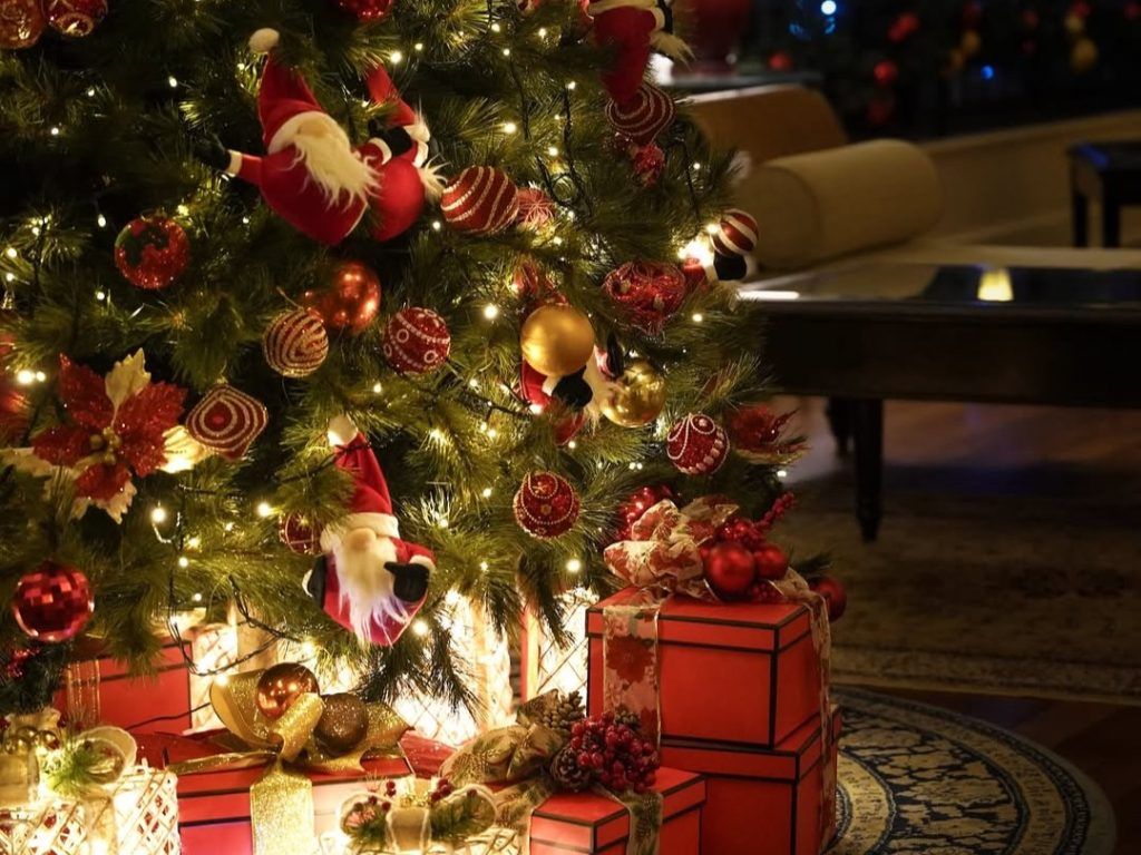 What to do in Cameron Highlands this Christmas