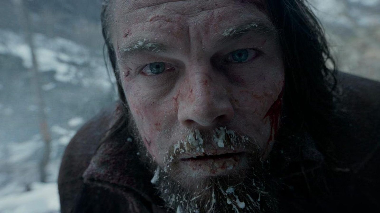 The Revenant at 10 : How climate anxiety changes the film’s meaning ...
