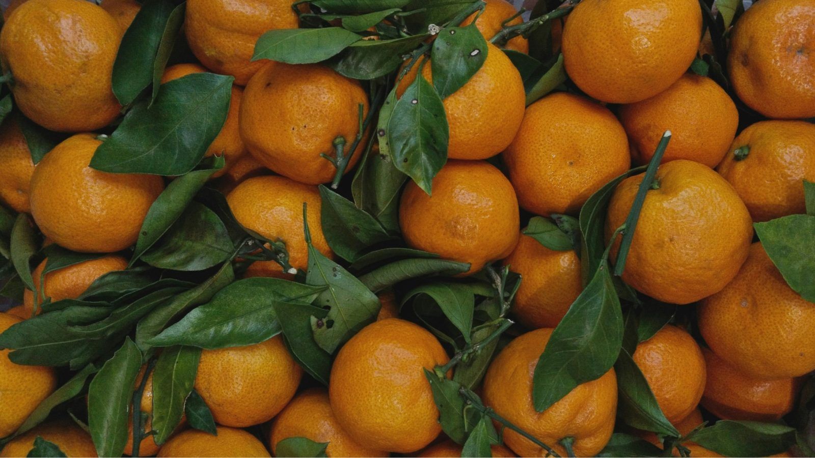 Mandarin orange guide: Which should you buy this CNY