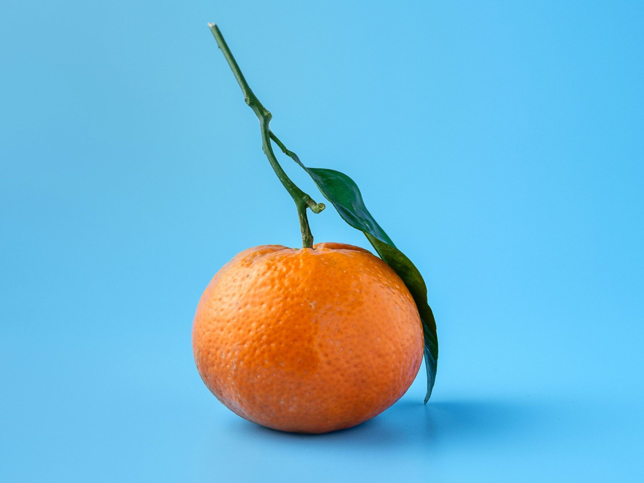 Mandarin orange guide: Which should you buy this CNY