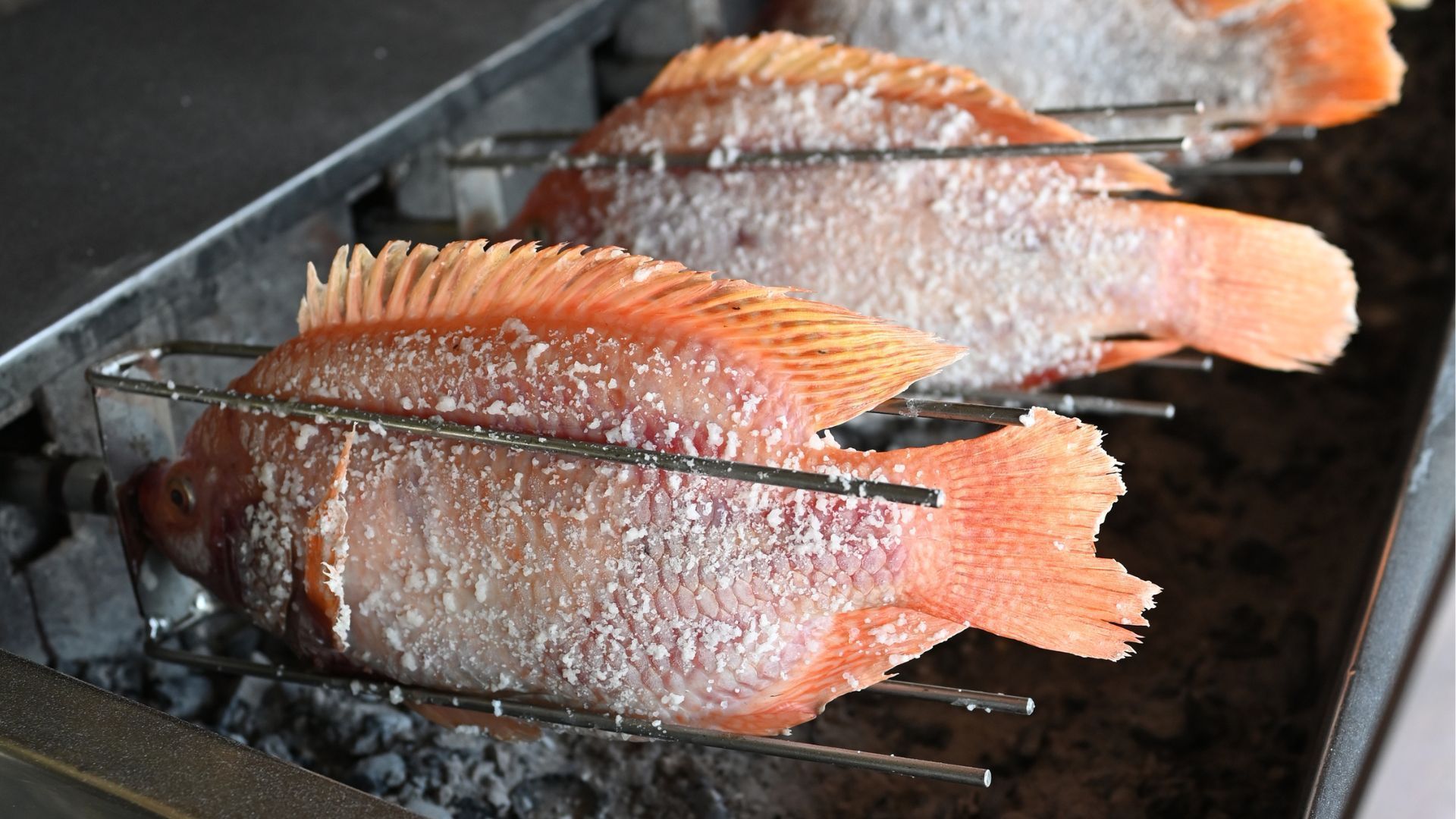 My seafood-obsessed family can’t get enough of these Bangkok ...