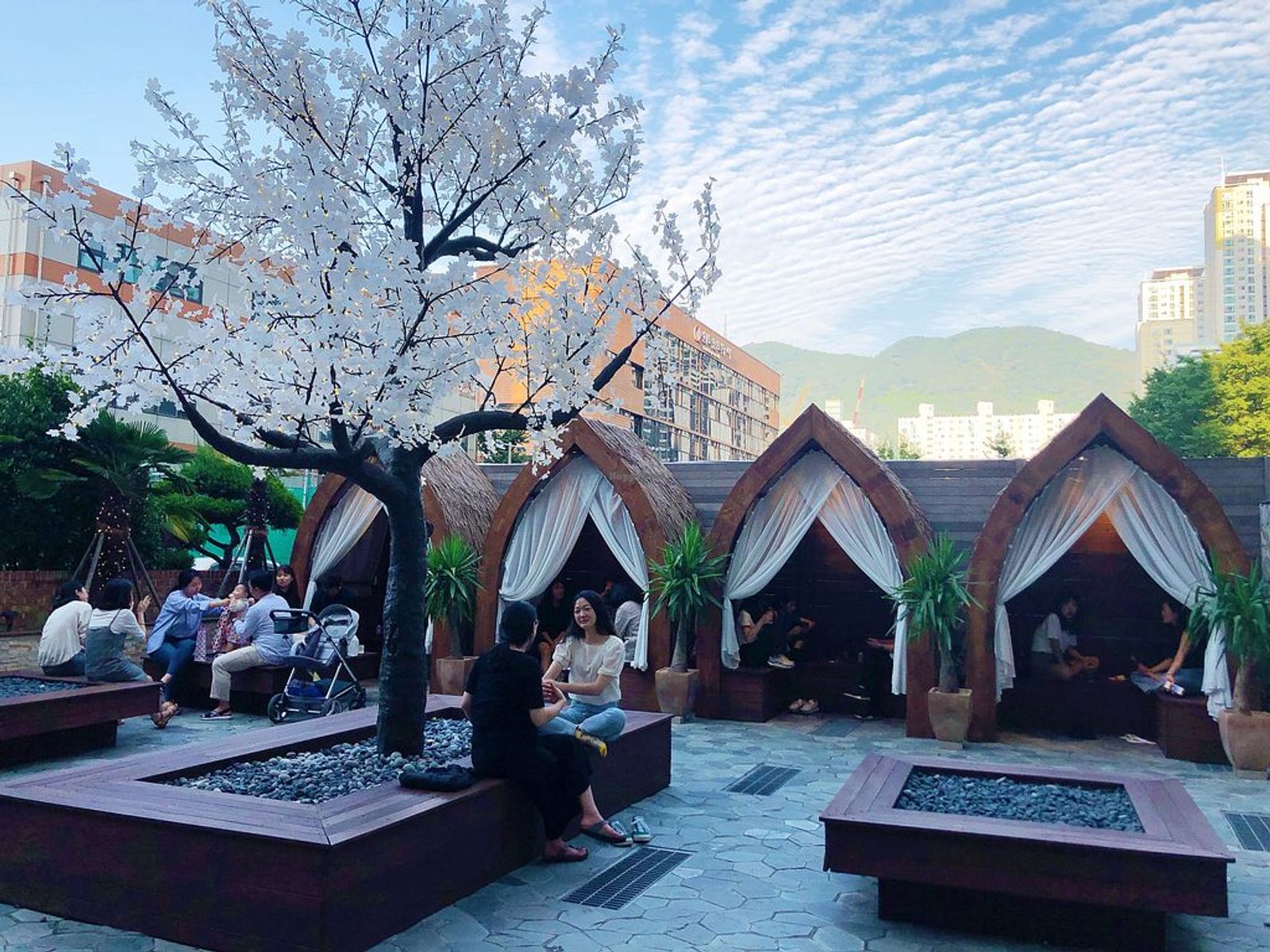 A guide to the best cafes in Busan for all your Instagram needs