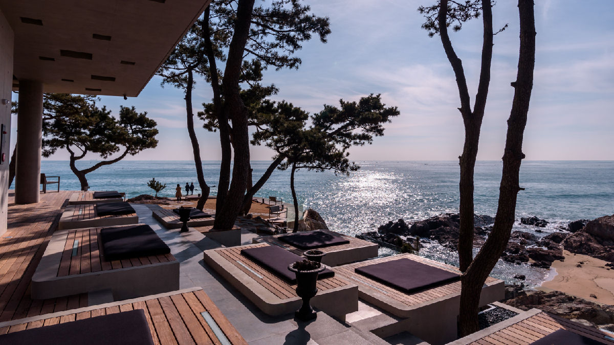 A guide to the best cafes in Busan for all your Instagram needs