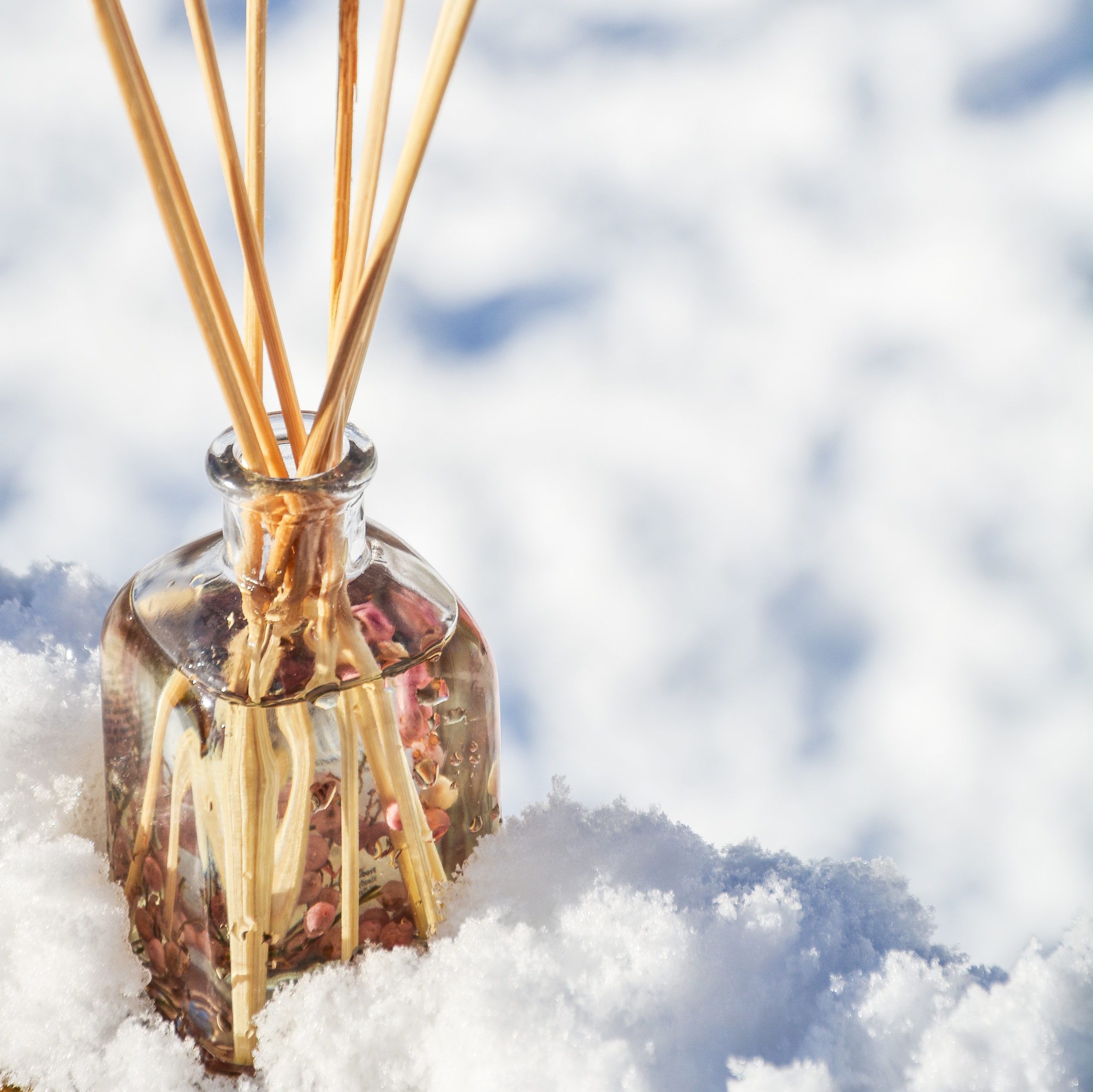 7 luxury reed diffuser shops in Singapore for a well-scented home