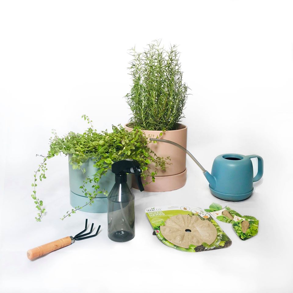 The best gardening kits in Singapore