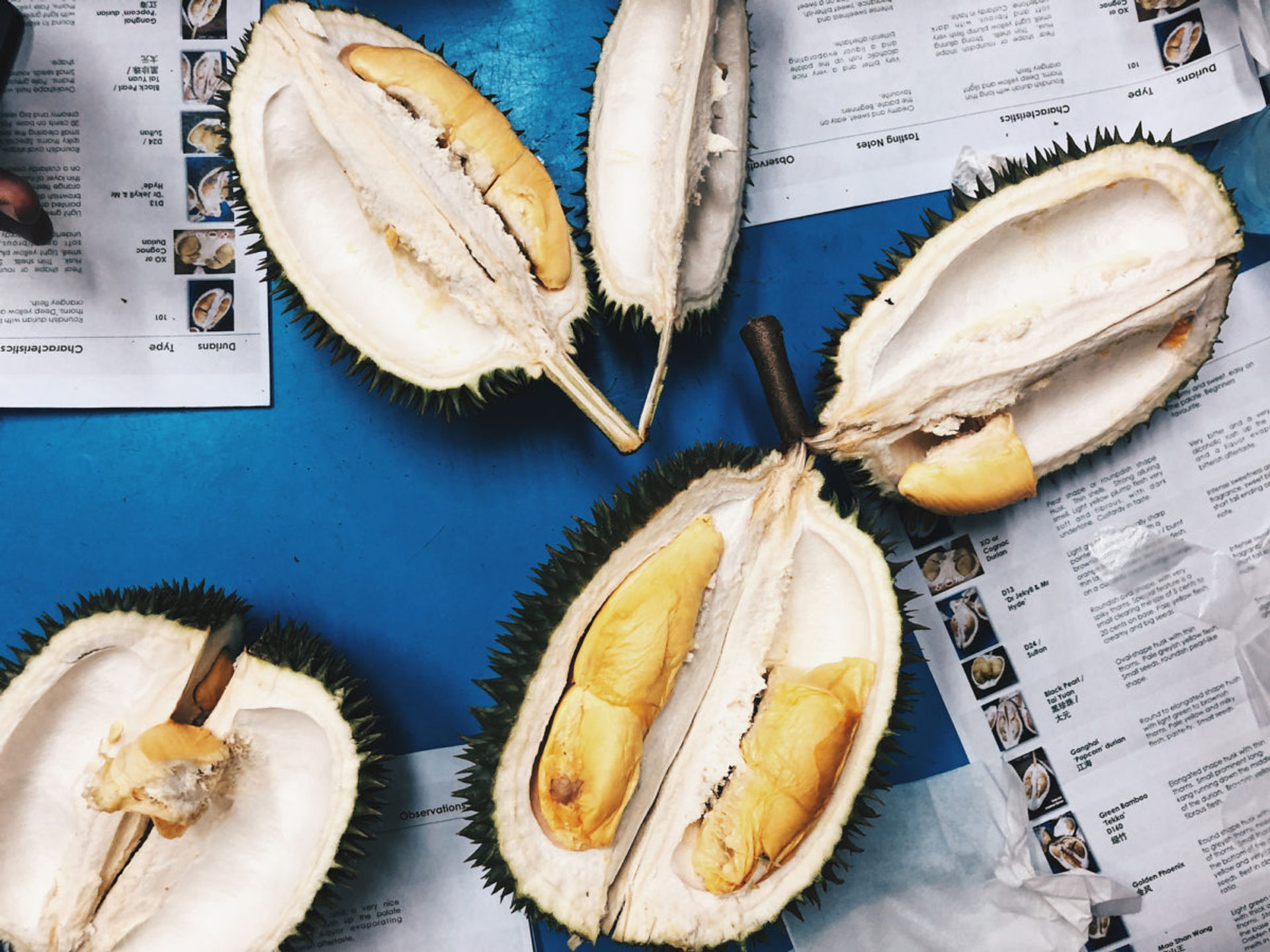 A cheatsheet on major durian varietals and how they compare