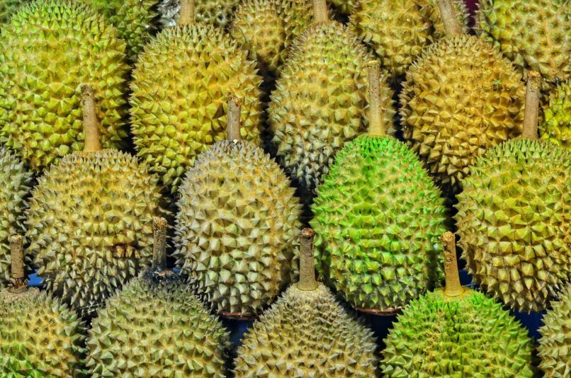 A cheatsheet on major durian varietals and how they compare