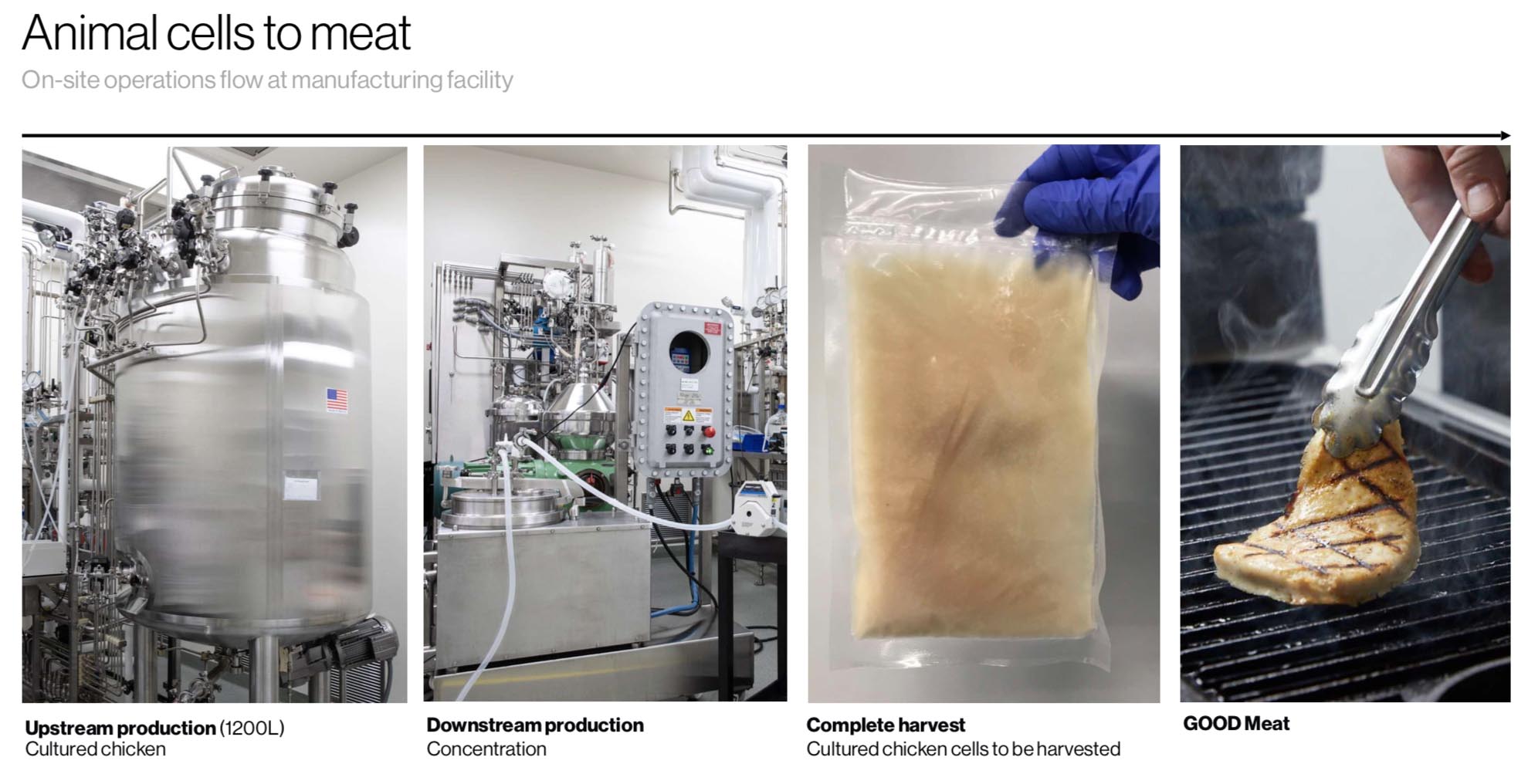 Review: What does lab grown or cultured chicken taste like?