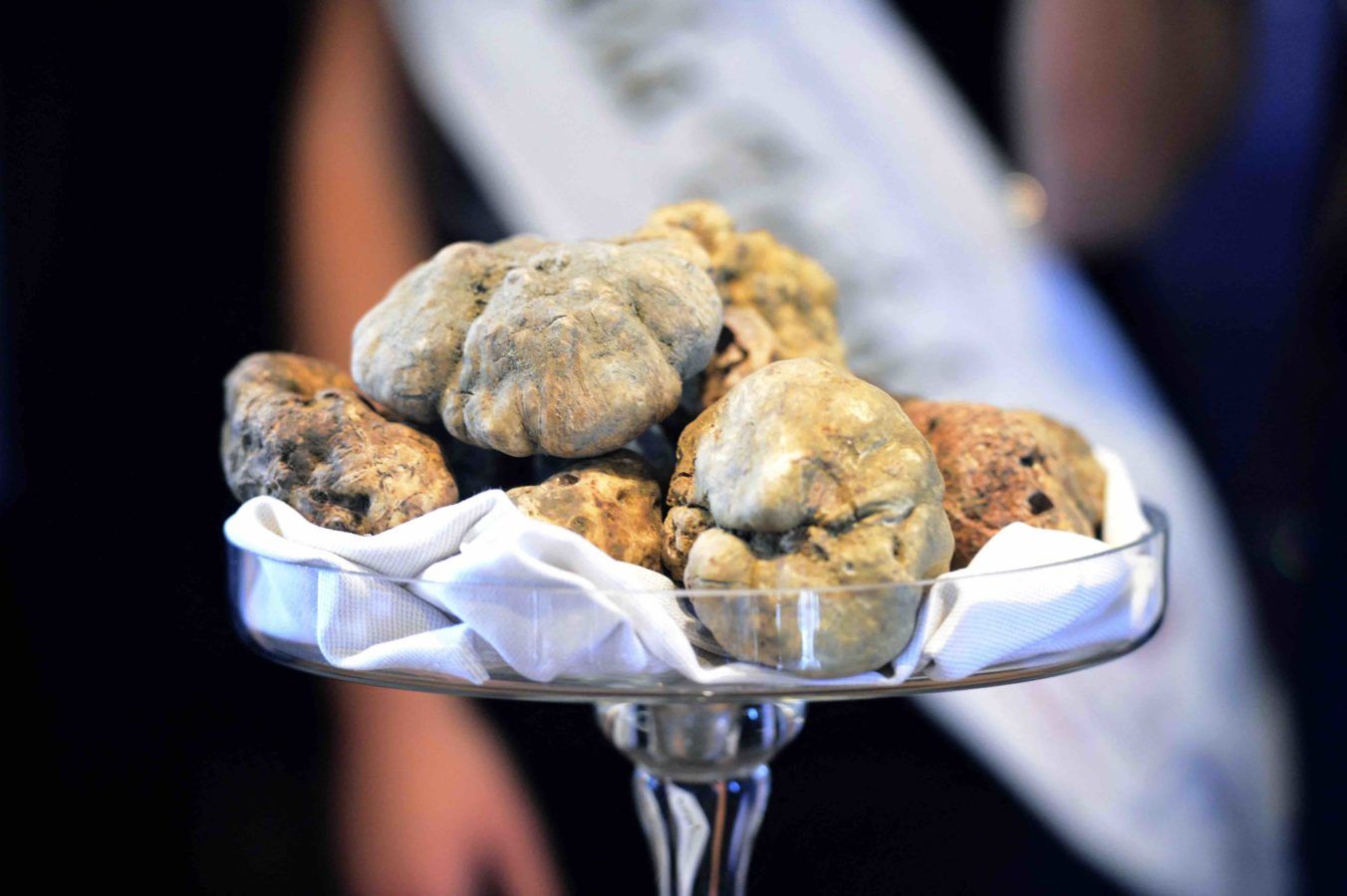 The rare white truffle is finally being cultivated and could make its ...