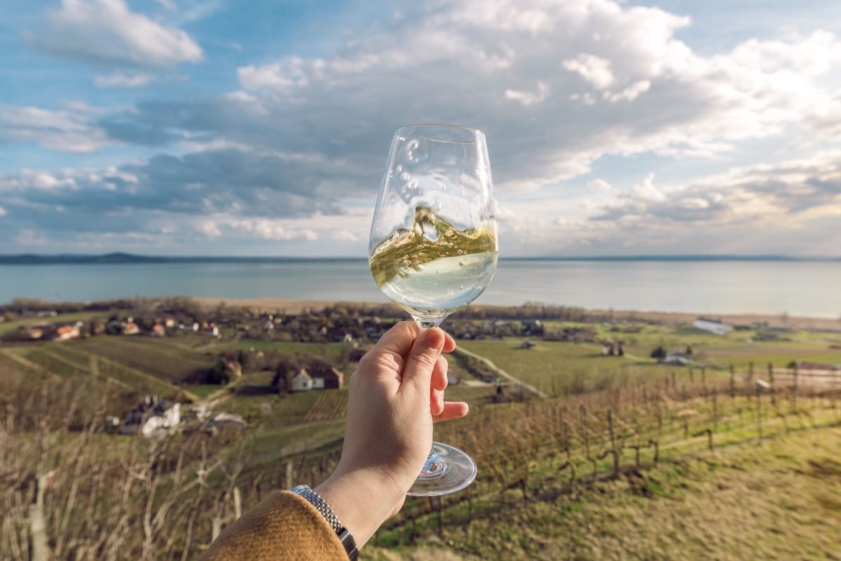 Vineyards in India: This is where the best wines in India are made