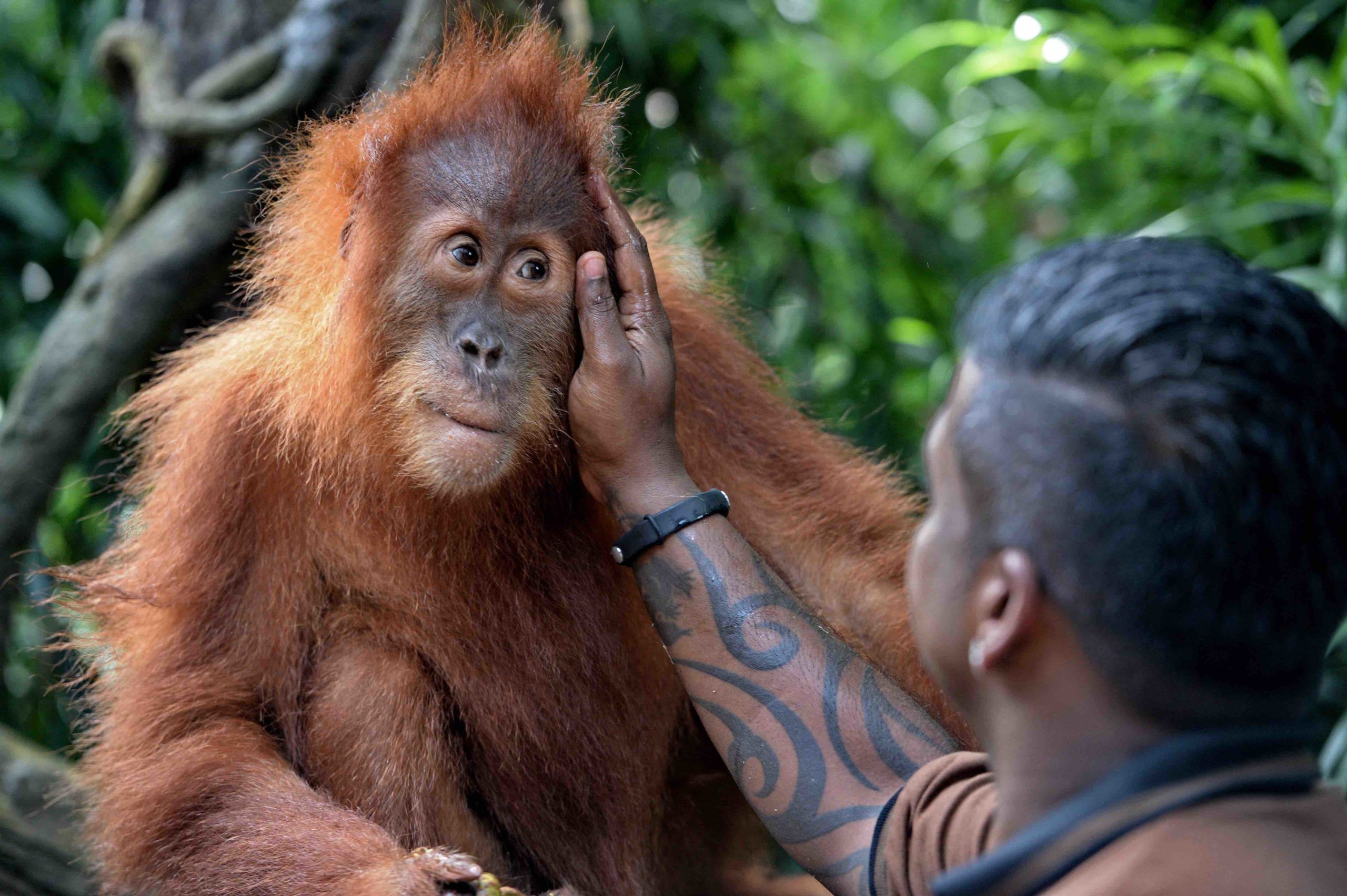 10 earth causes you can donate to protect our beloved planet