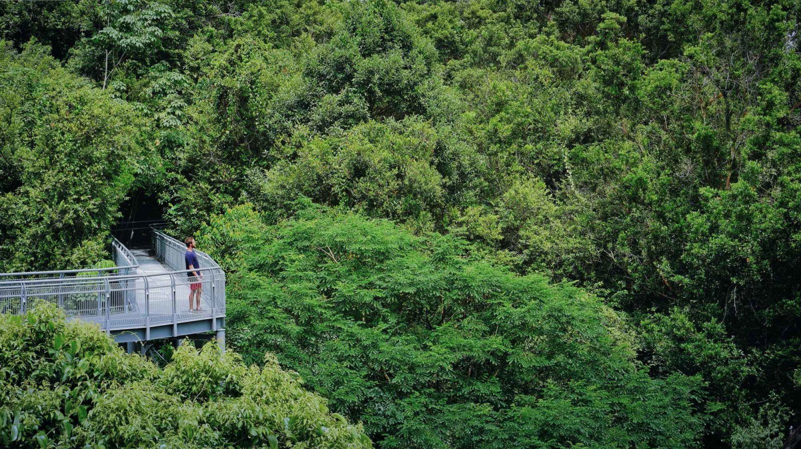 6 best hiking trails in Singapore to explore and get fit at