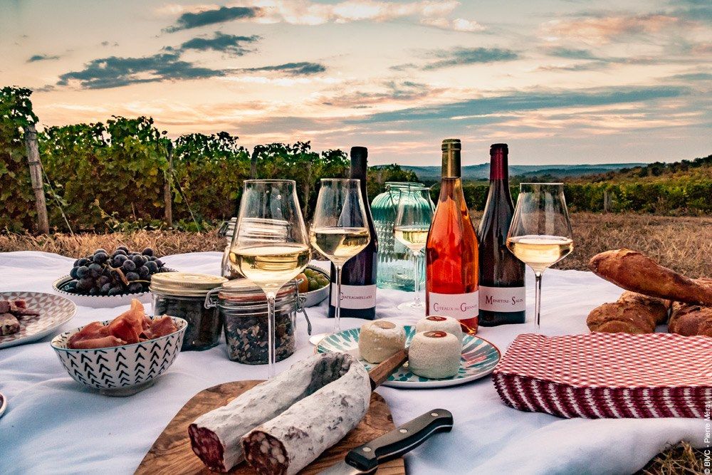 Wine guide: how to read French labels and what to look for