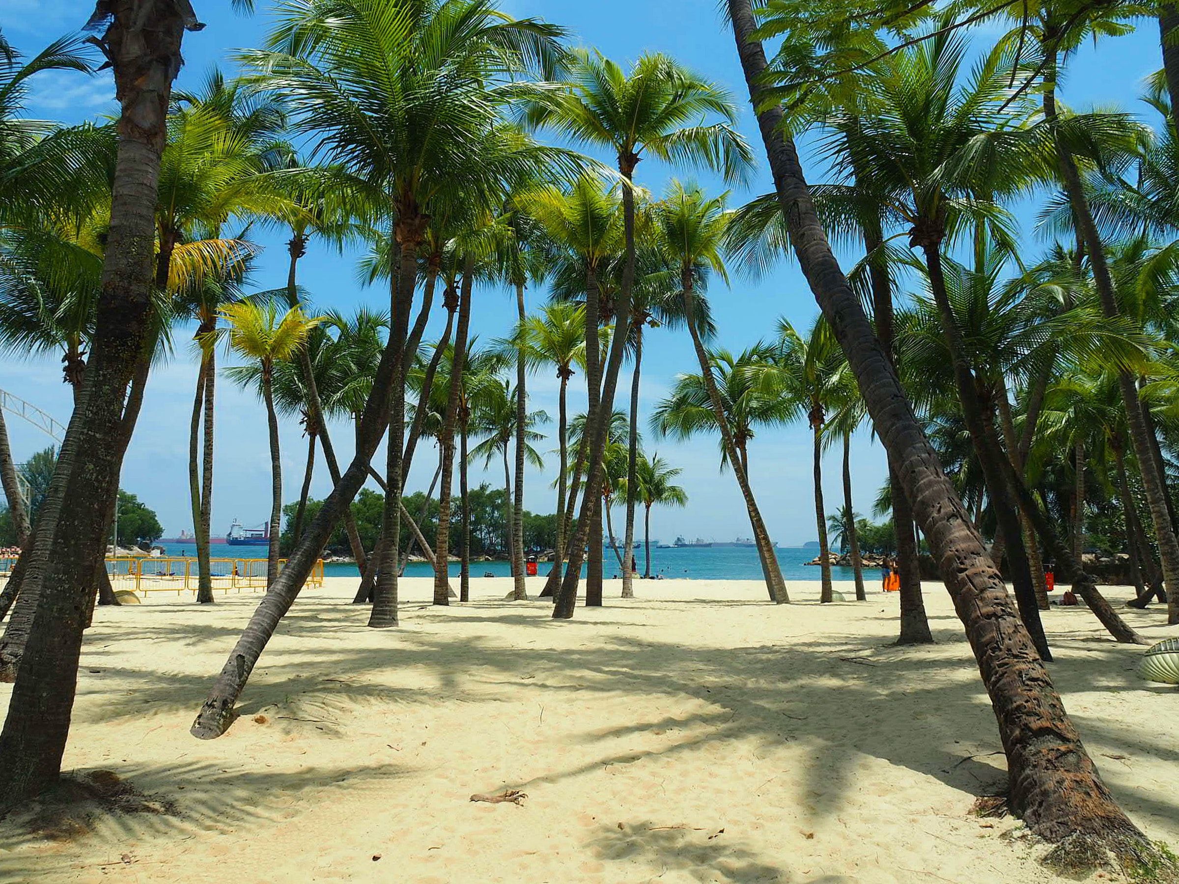 Good food and a seaside breeze? Here's where to eat in Sentosa