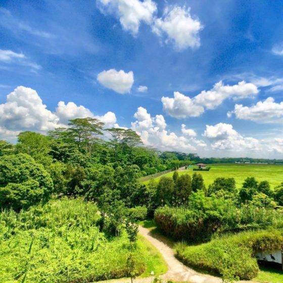 The best cycling trails in Singapore for an outdoor workout