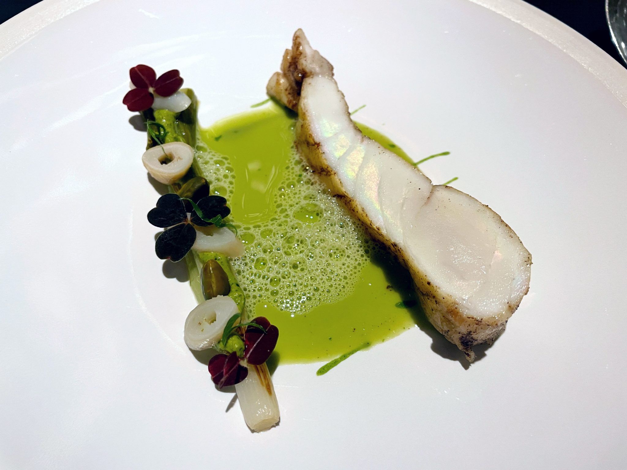 Chefs explain: Why the elusive Turbot fish is worth its very hefty ...