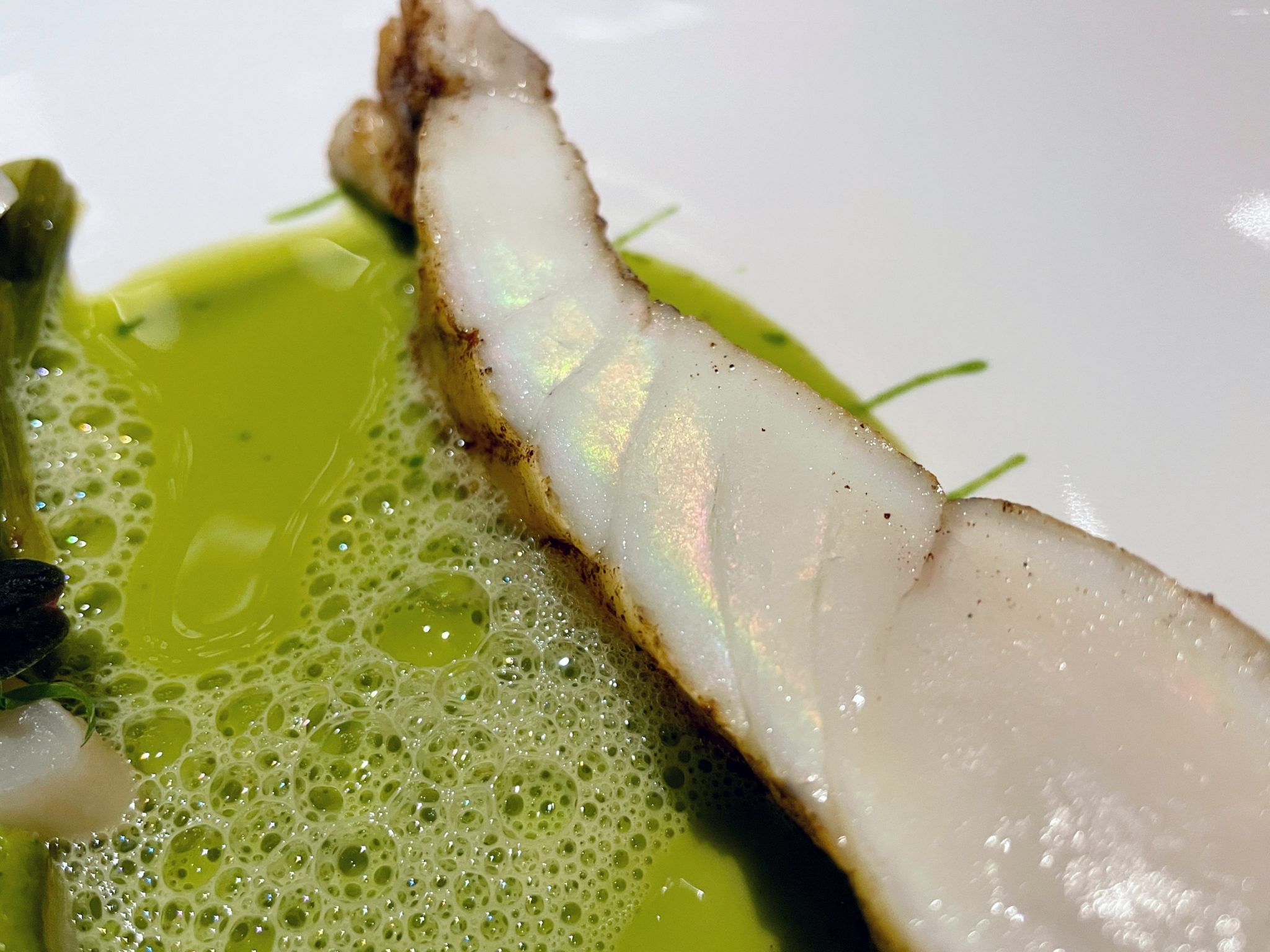 Chefs explain: Why the elusive Turbot fish is worth its very hefty ...