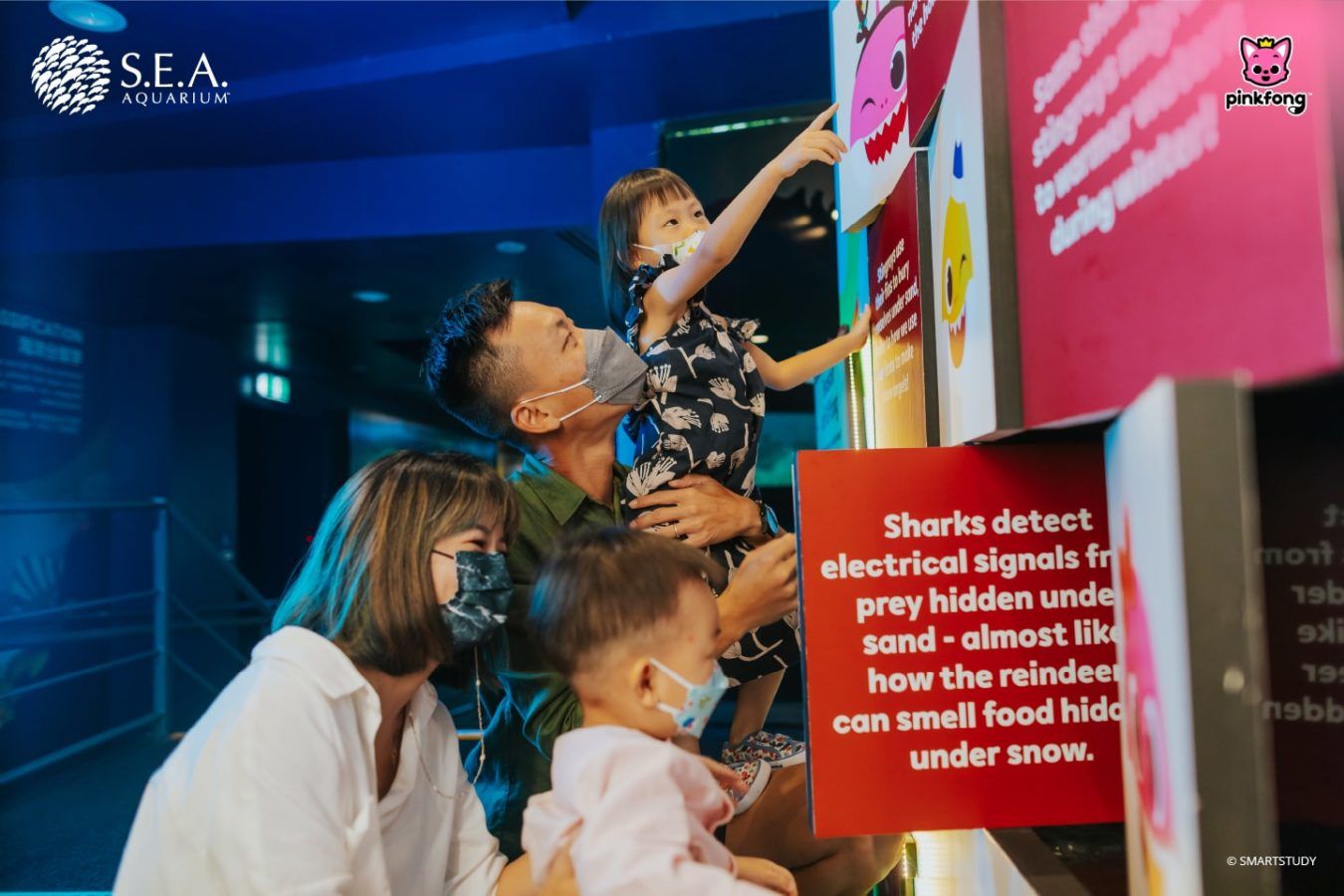 A complete guide to all the best festive offerings at Resorts World Sentosa