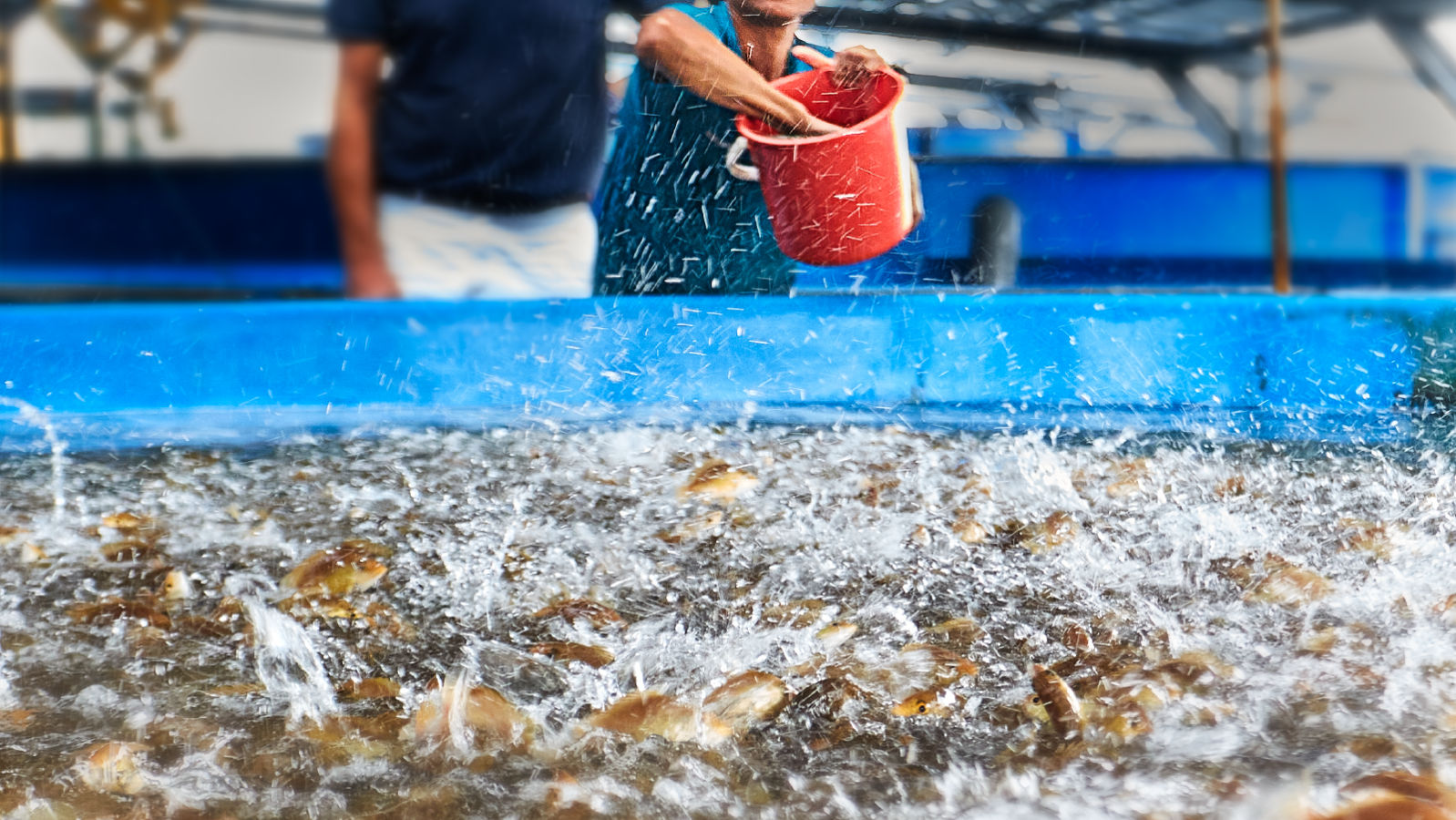 Plant-based seafood is now a thing. Here's what vegan fish tastes like