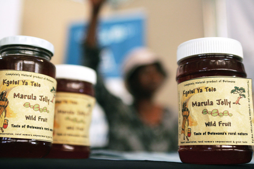 All about Marula, the versatile African superfruit your skin will love