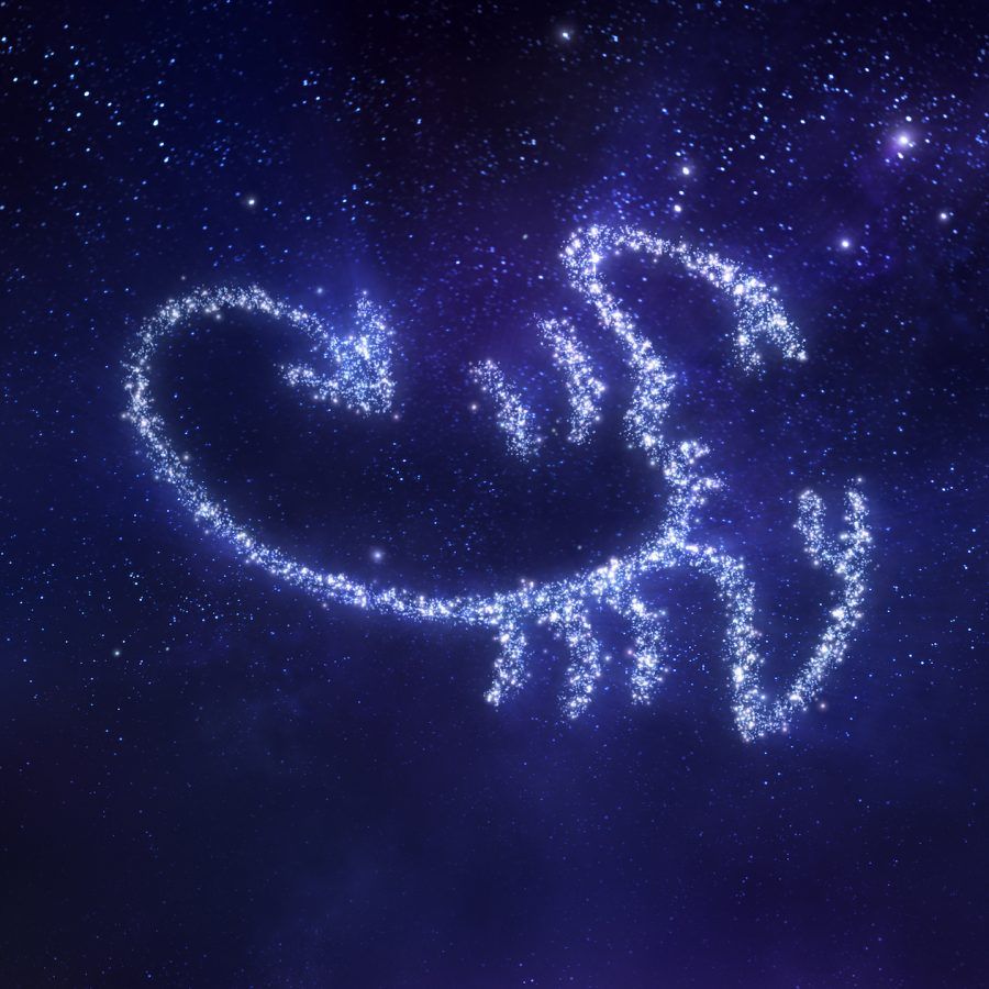 Fixed zodiac signs: What it means for Taurus, Leo, Scorpio and Aquarius