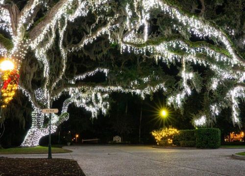 14 places for the best holiday lights displays this Christmas