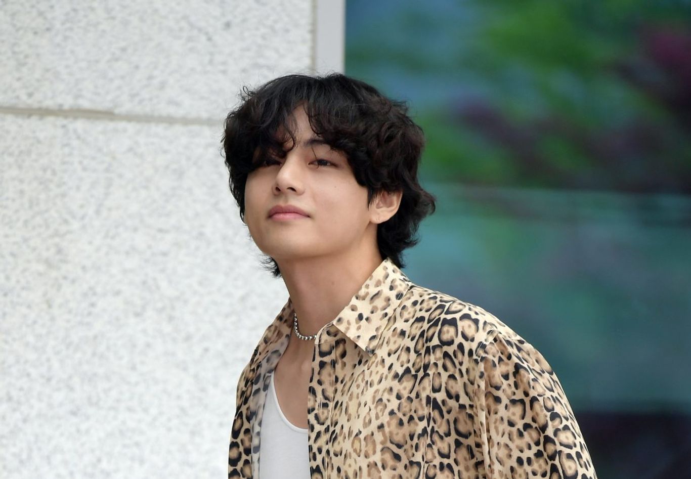 8 of BTS V's most recommended movies and shows to stream now