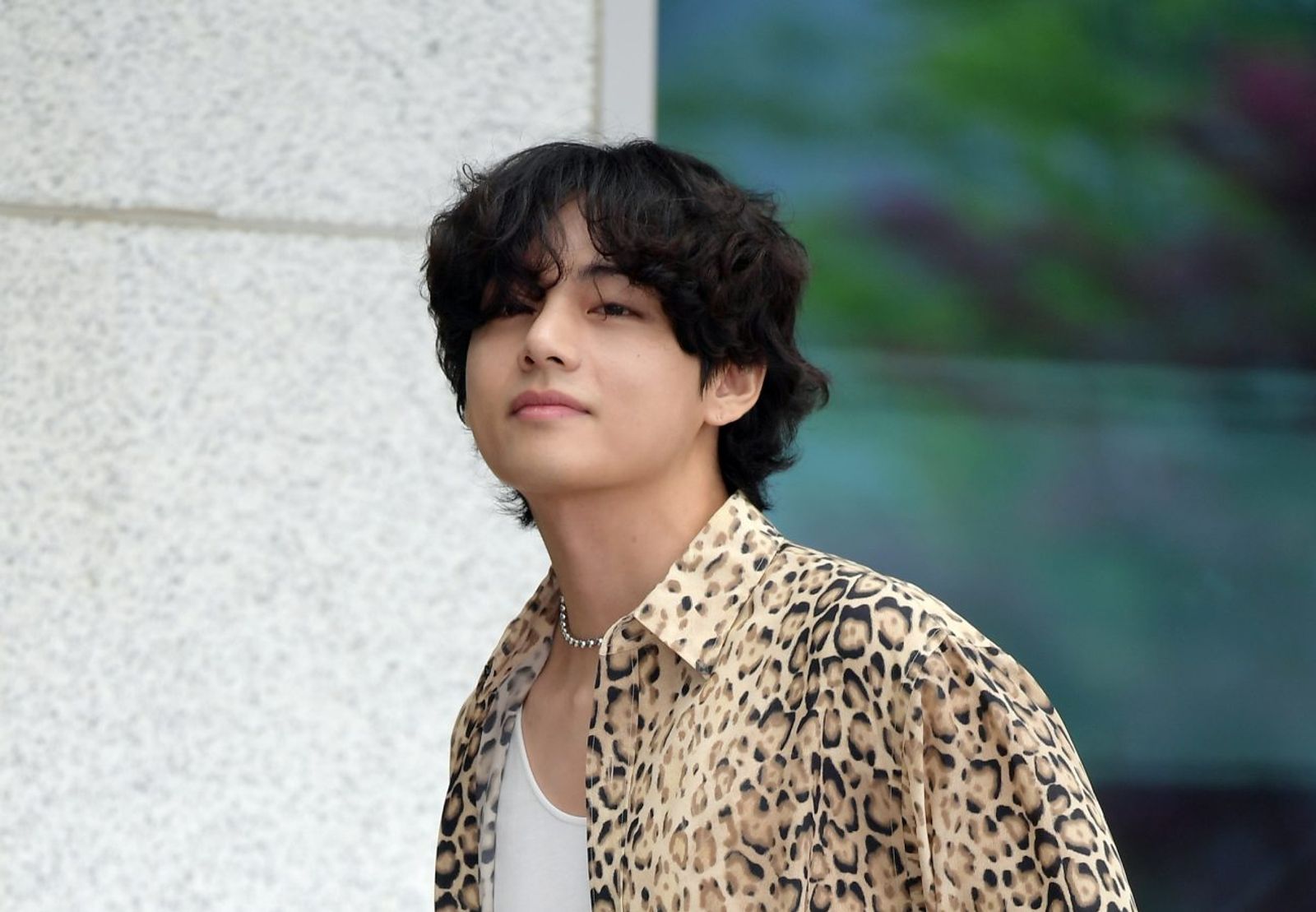 8 of BTS V's most recommended movies and shows to stream now