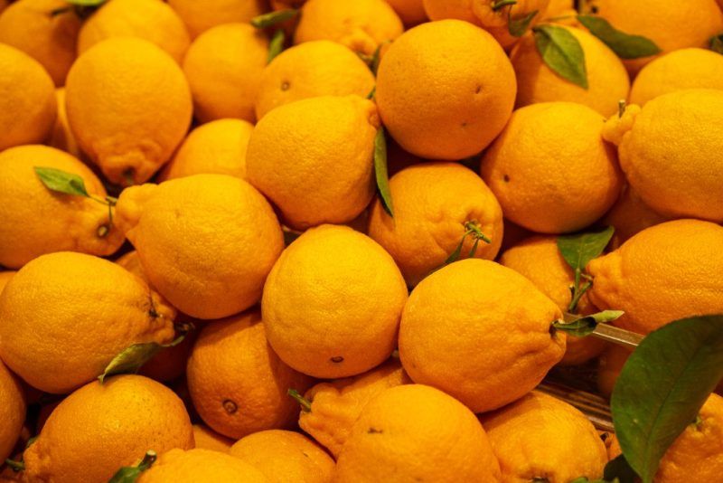 6 of the most popular types of Mandarin oranges for Lunar New Year