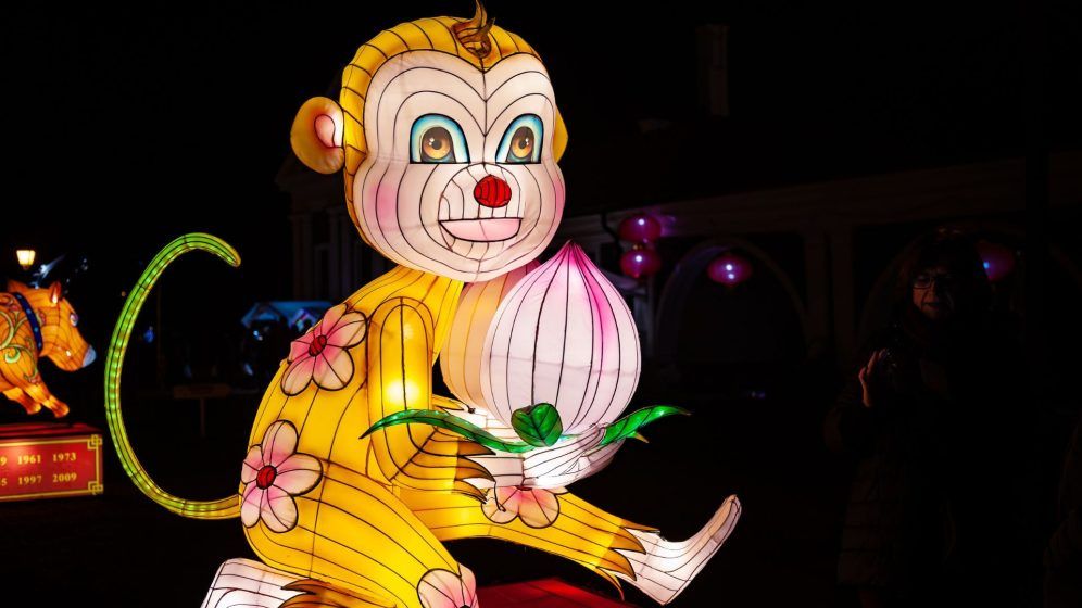 Year of the Rabbit: Chinese zodiac love life and compatibility for 2023