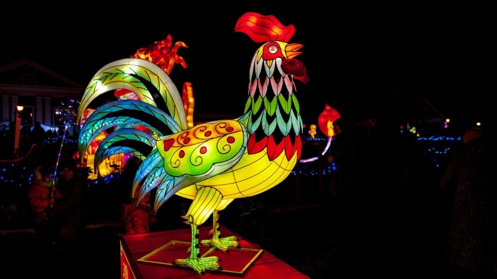 Year of the Rabbit: Chinese zodiac love life and compatibility for 2023