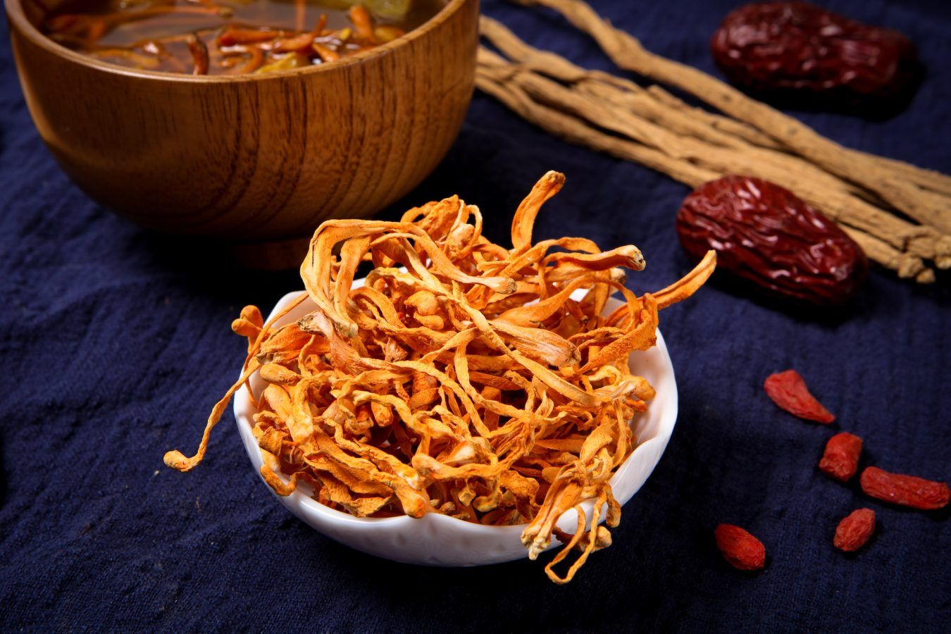 Your guide to cordyceps, the fungus made infamous on The Last Of Us