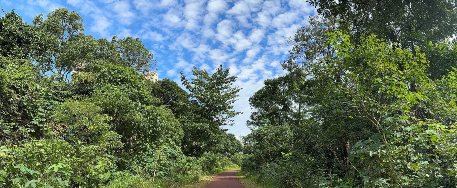 7 best places to eat along the northern Rail Corridor after a hike