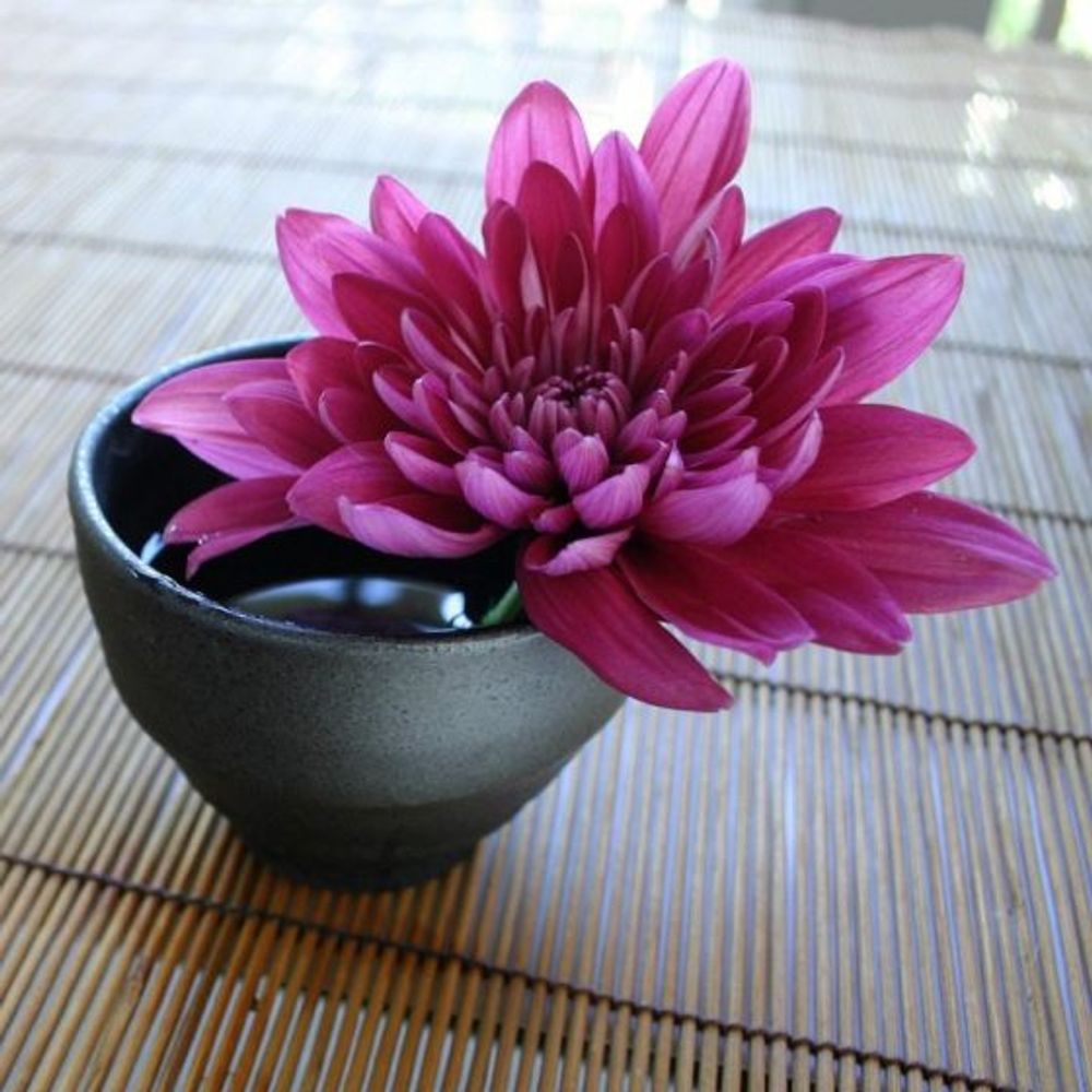 Chinese zodiac: Lucky flowers based on your sign to bring good luck