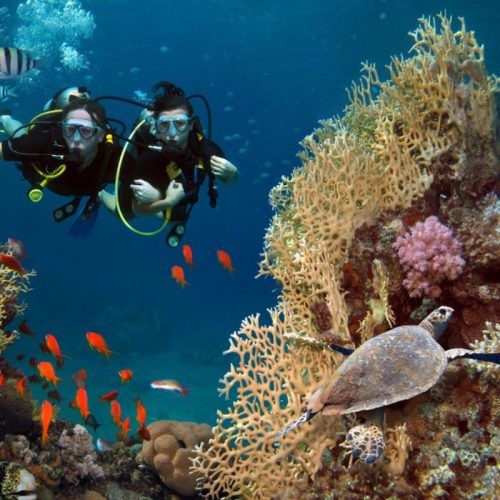 Singapore's Merlion is 50! How to celebrate with month-long activities