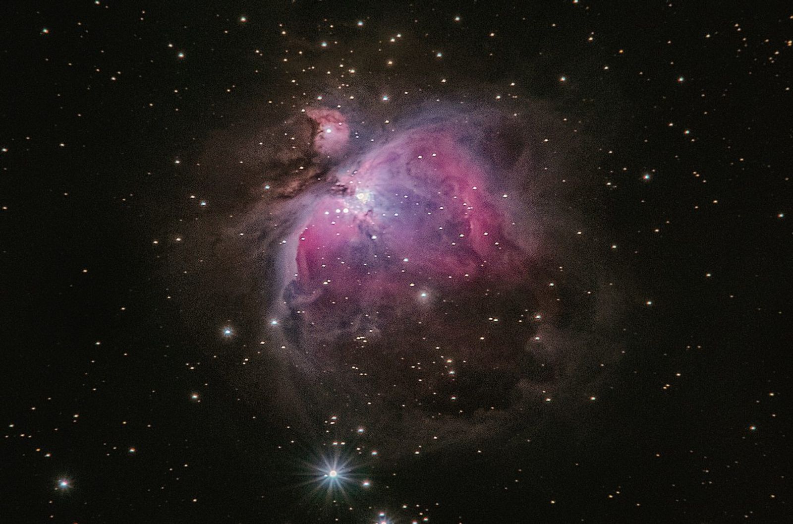 UFO Hearings: Does presence of non-human biologics mean aliens exist